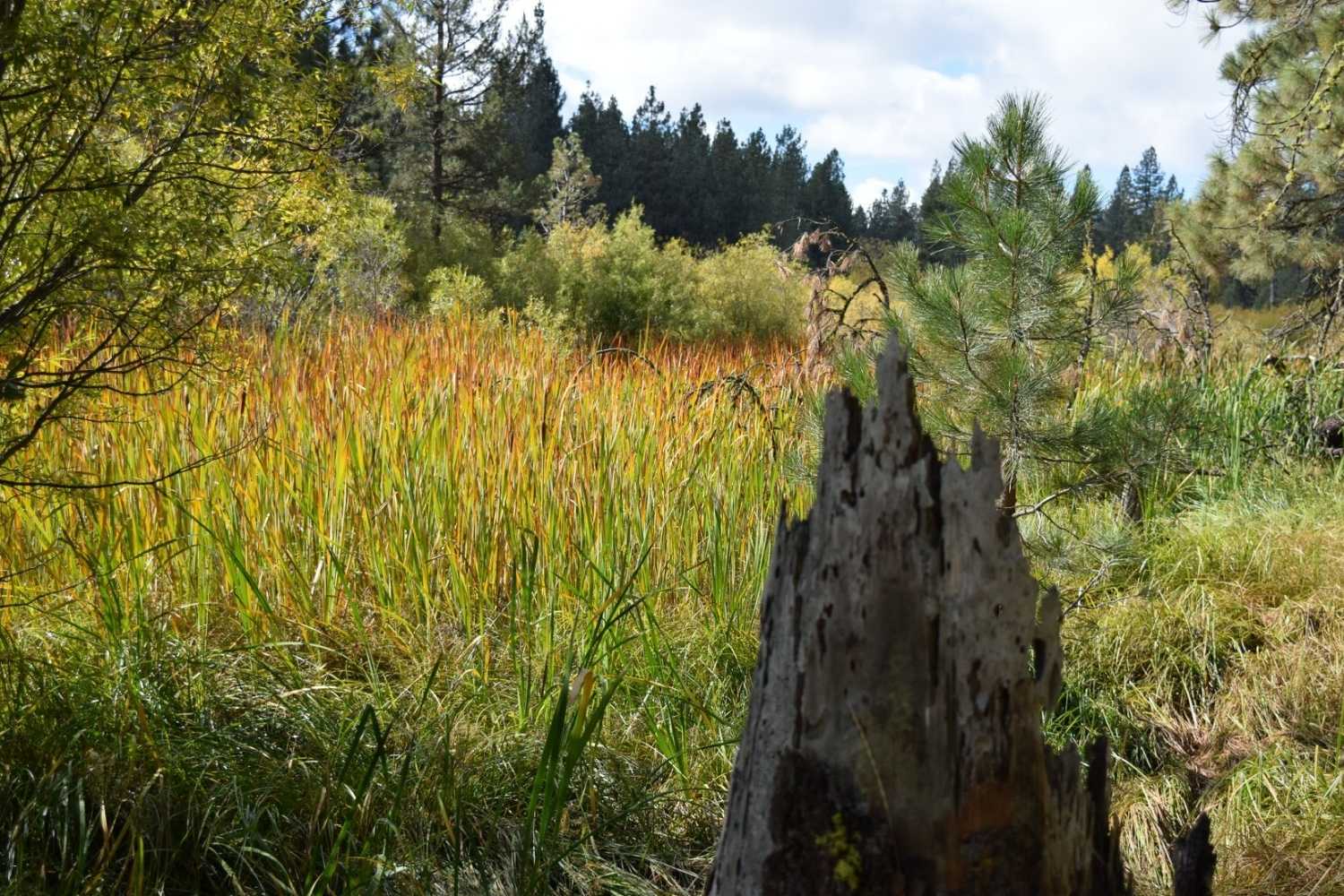 Explore Chester, California | St. Bernard Lodge